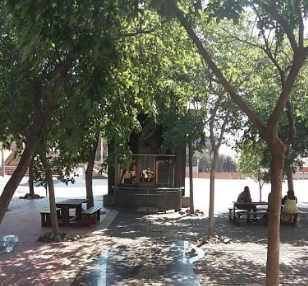 My walk through the Constitution Hill precinct – Constitution Hill